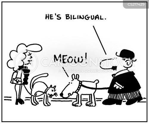 Mewing Cartoons and Comics - funny pictures from CartoonStock