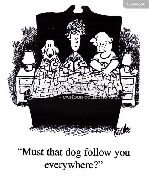 Loyal Following Cartoons and Comics - funny pictures from CartoonStock