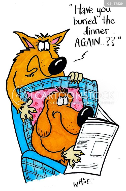 Exasperated Owners Cartoons and Comics - funny pictures from CartoonStock