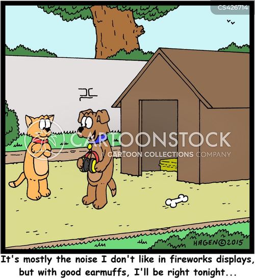Firework Display Cartoons and Comics - funny pictures from CartoonStock