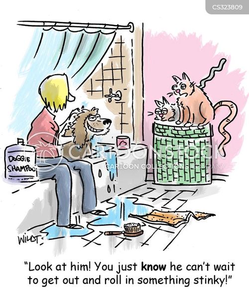 Why Wait Cartoons and Comics - funny pictures from CartoonStock