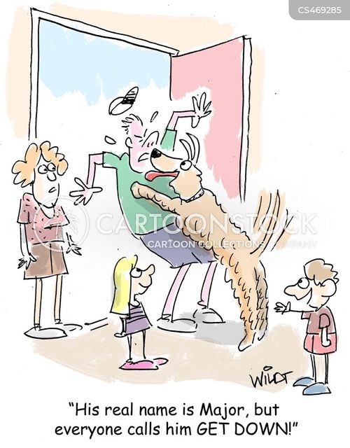 Dog Agility Cartoons and Comics - funny pictures from CartoonStock