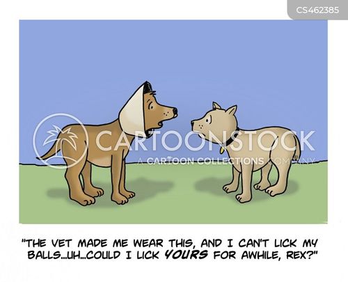Dog Cone Cartoons and Comics - funny pictures from CartoonStock