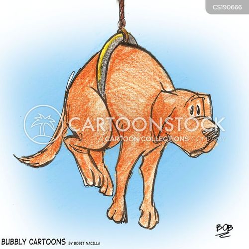 Fido Cartoons and Comics - funny pictures from CartoonStock