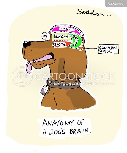 Canine Anatomy Cartoons and Comics - funny pictures from CartoonStock
