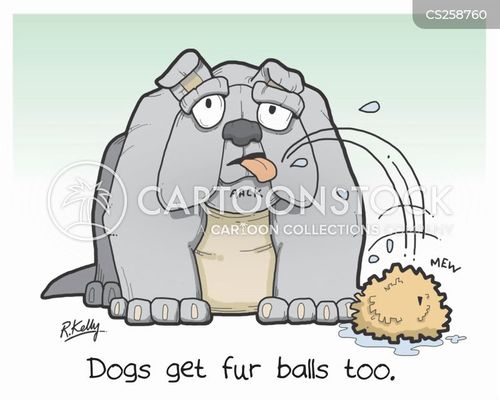 Hairballs Cartoons and Comics - funny pictures from CartoonStock