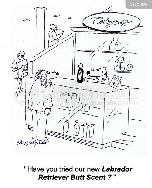 Labrador Cartoons and Comics - funny pictures from CartoonStock