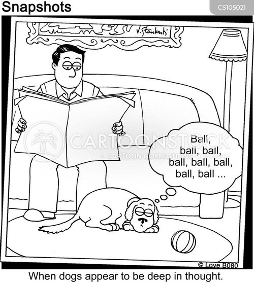 Thinking Dog Cartoons and Comics - funny pictures from CartoonStock