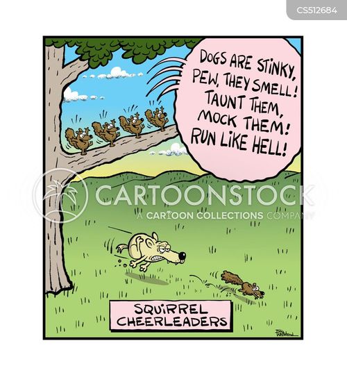 Chasing Squirrels Cartoons and Comics - funny pictures from CartoonStock
