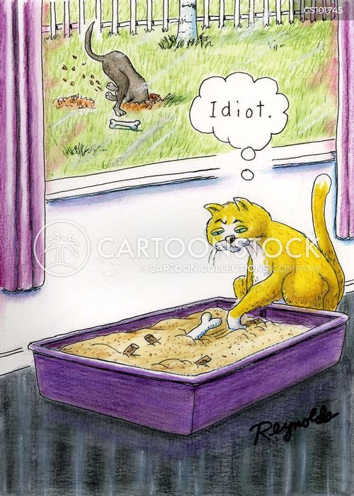 Natural Litter Cartoons and Comics - funny pictures from CartoonStock
