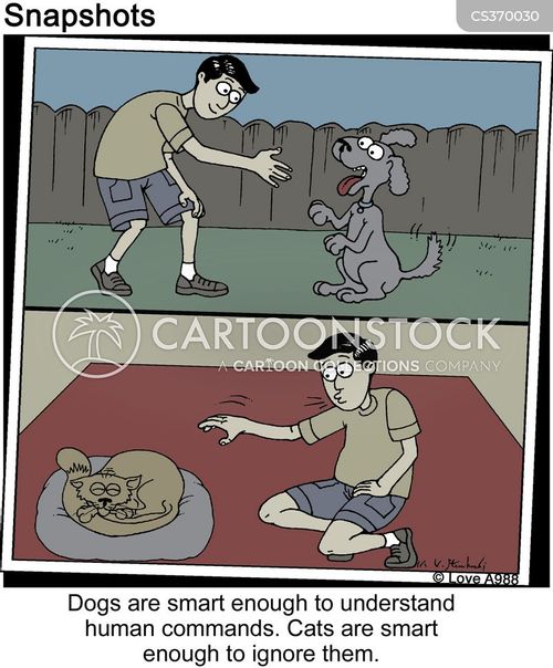 Understanding Pets Cartoons and Comics - funny pictures from CartoonStock