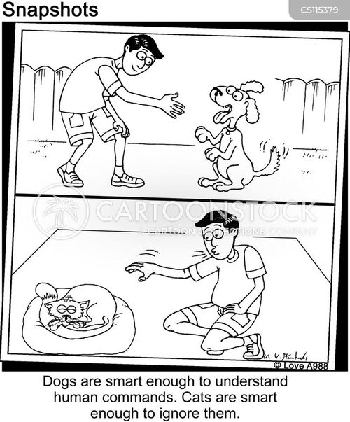 Cat Trainer Cartoons and Comics - funny pictures from CartoonStock