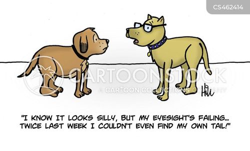 Silly Pets Cartoons and Comics - funny pictures from CartoonStock