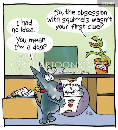 Chasing Squirrels Cartoons and Comics - funny pictures from CartoonStock