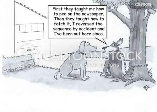 Fetch The Paper Cartoons and Comics - funny pictures from CartoonStock