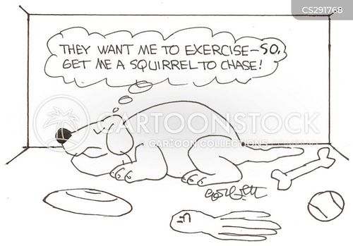 Chasing Squirrels Cartoons and Comics - funny pictures from CartoonStock