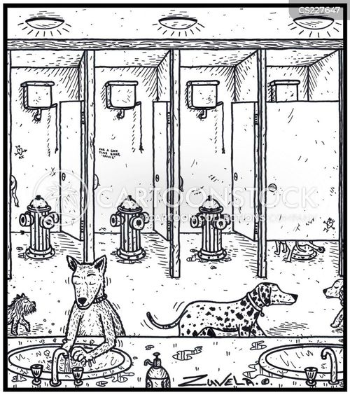 Toilet Room Cartoons and Comics - funny pictures from CartoonStock