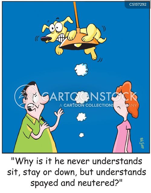 Neuter Cartoons and Comics - funny pictures from CartoonStock