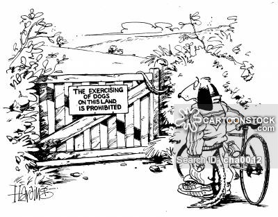 Right Of Way Cartoons and Comics - funny pictures from CartoonStock