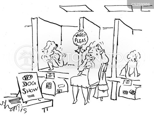 Flea Infestation Cartoons and Comics - funny pictures from CartoonStock