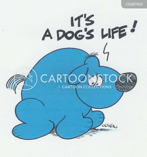 It's A Dog's Life Cartoons and Comics - funny pictures from CartoonStock