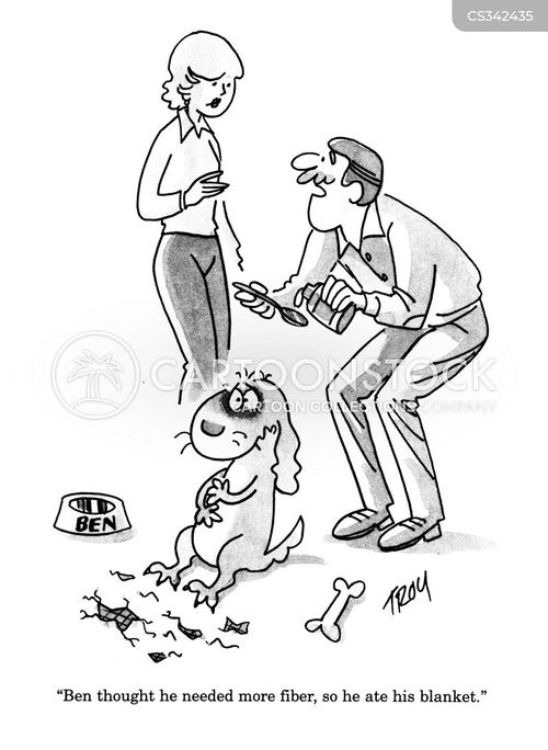 Pet Projects Cartoons and Comics - funny pictures from CartoonStock