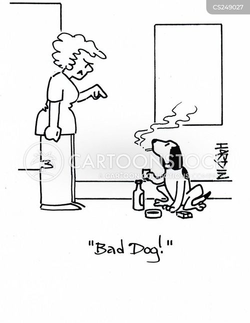 Baddog Cartoons and Comics - funny pictures from CartoonStock