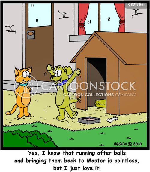 Pointless Endeavor Cartoons and Comics - funny pictures from CartoonStock