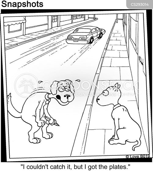 Car Identification Cartoons and Comics - funny pictures from CartoonStock