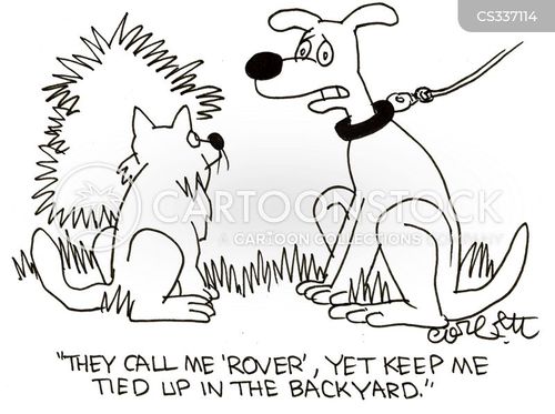 Rover Cartoons and Comics - funny pictures from CartoonStock
