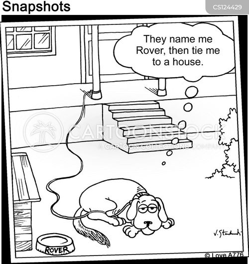 Rover Cartoons and Comics - funny pictures from CartoonStock