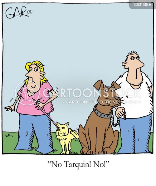 Intimation Cartoons and Comics - funny pictures from CartoonStock