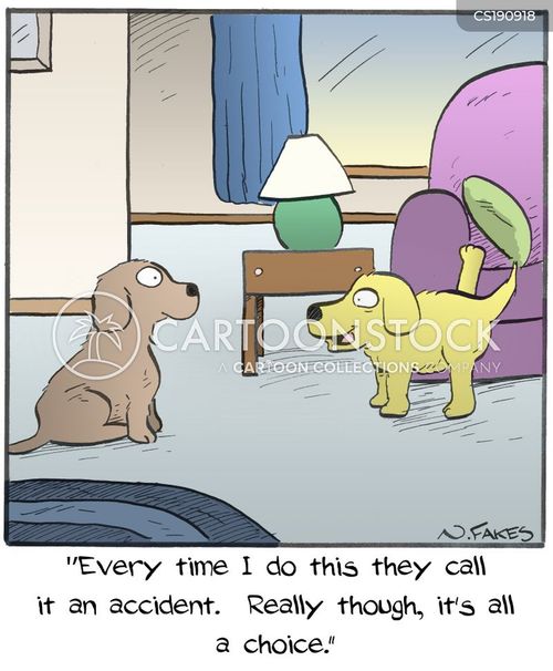 Dog Potty Training Memes