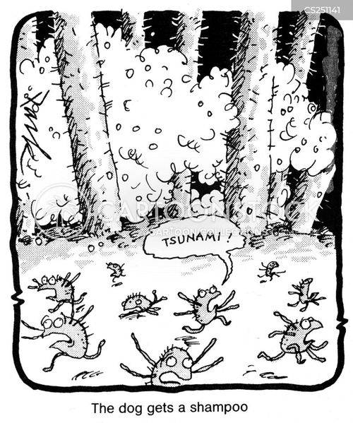 Tsunami Cartoons and Comics - funny pictures from CartoonStock