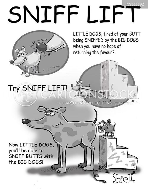 Sniffer Cartoons and Comics - funny pictures from CartoonStock
