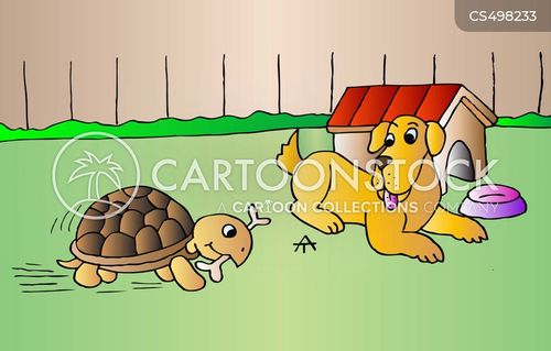 The Mock Turtle Cartoons and Comics - funny pictures from CartoonStock