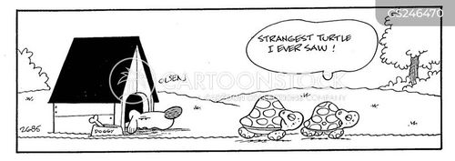 Misconception Cartoons and Comics - funny pictures from CartoonStock