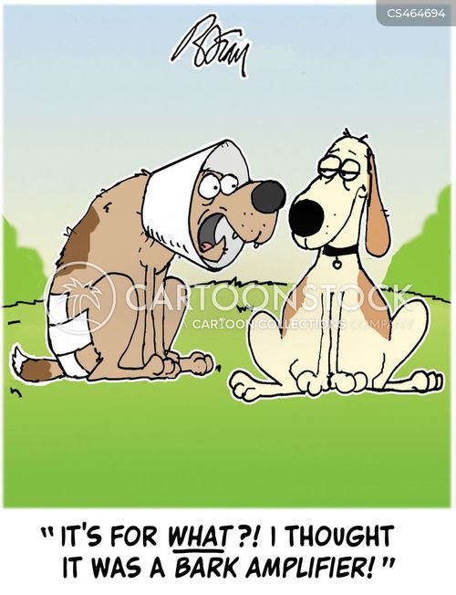 Amplifier Cartoons and Comics - funny pictures from CartoonStock