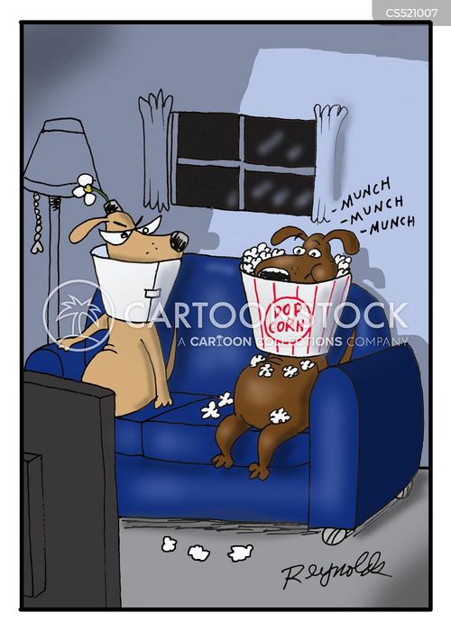 Cone Of Shame Cartoons and Comics - funny pictures from CartoonStock