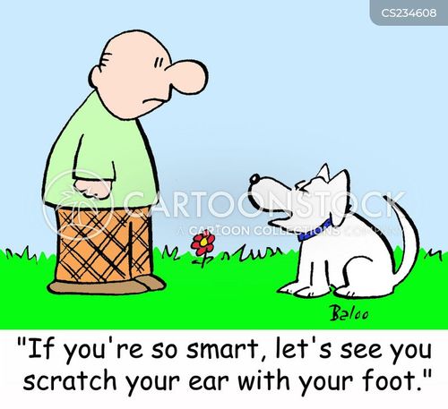Exasperated Owners Cartoons and Comics - funny pictures from CartoonStock
