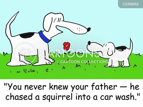 Chasing Squirrels Cartoons and Comics - funny pictures from CartoonStock