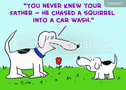 Chasing Squirrels Cartoons and Comics - funny pictures from CartoonStock