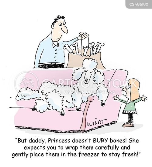 Pampered Poodle Cartoons and Comics - funny pictures from CartoonStock