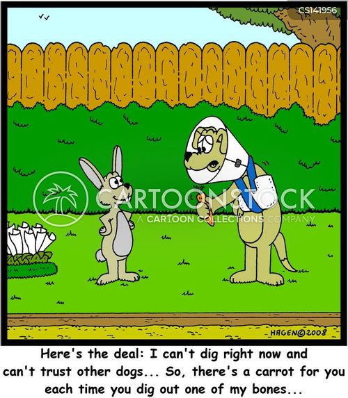 Rabbit Dog Cartoons and Comics - funny pictures from CartoonStock
