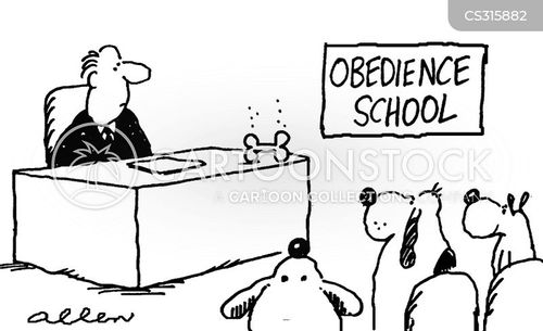 Dog Class Cartoons and Comics - funny pictures from CartoonStock