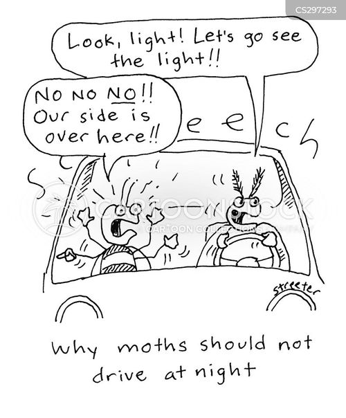 Headlights Cartoons and Comics - funny pictures from CartoonStock