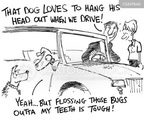 Car Window Cartoons and Comics - funny pictures from CartoonStock