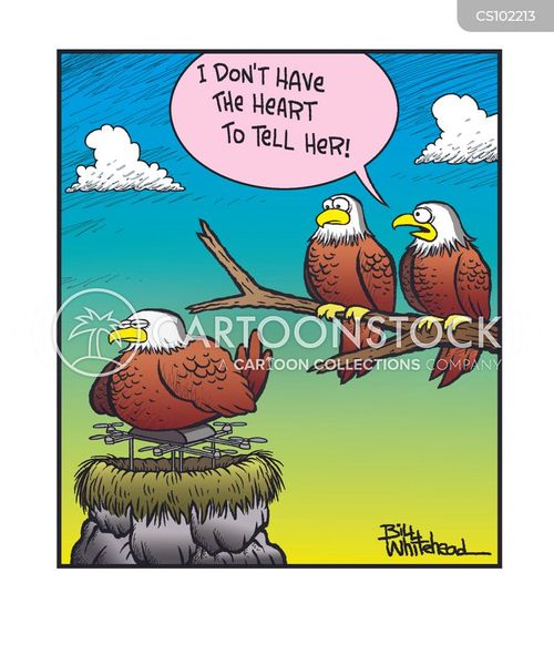 Eagle Cartoons and Comics - funny pictures from CartoonStock