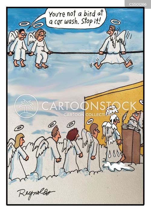 Birdpoo Cartoons and Comics - funny pictures from CartoonStock