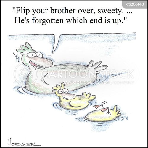 Idjits Gonna Idjit | The Crawdad Hole